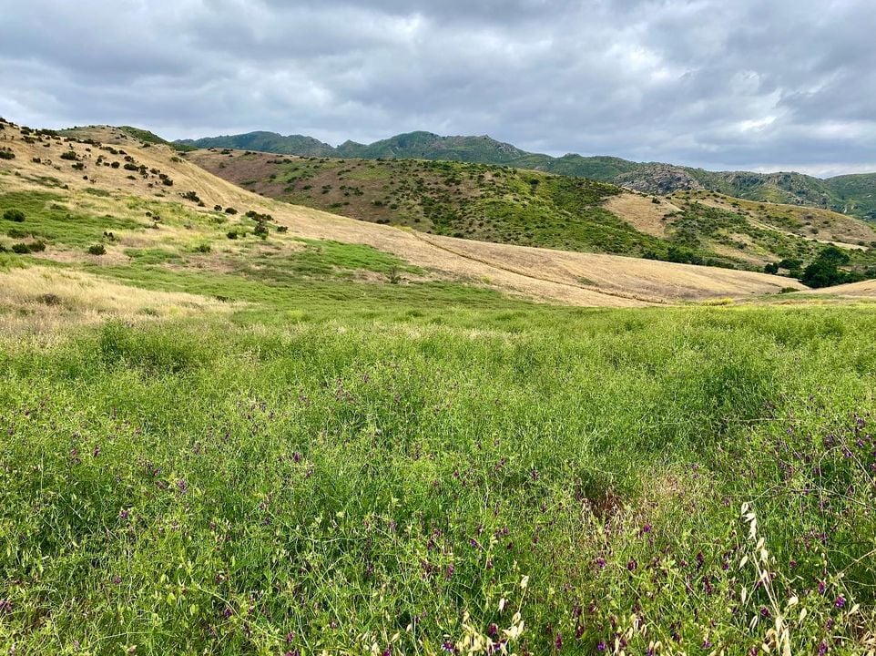 Autumn Ridge Trail - Conejo Valley